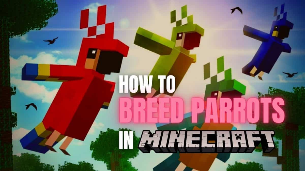 How to Breed Parrots in Minecraft