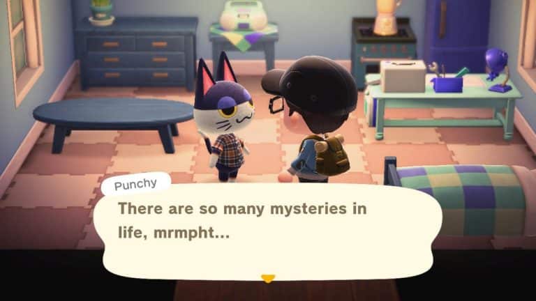 Punchy Animal Crossing: New Horizons- House, Gifts & More