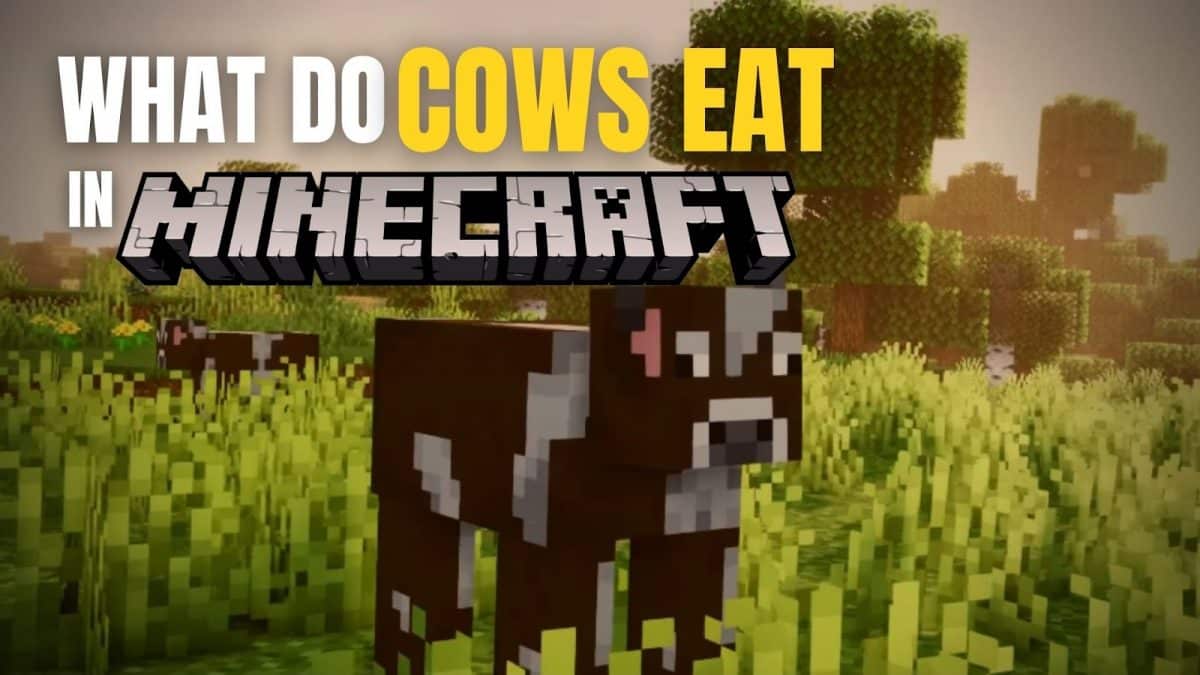 What Do Cows Eat in Minecraft?